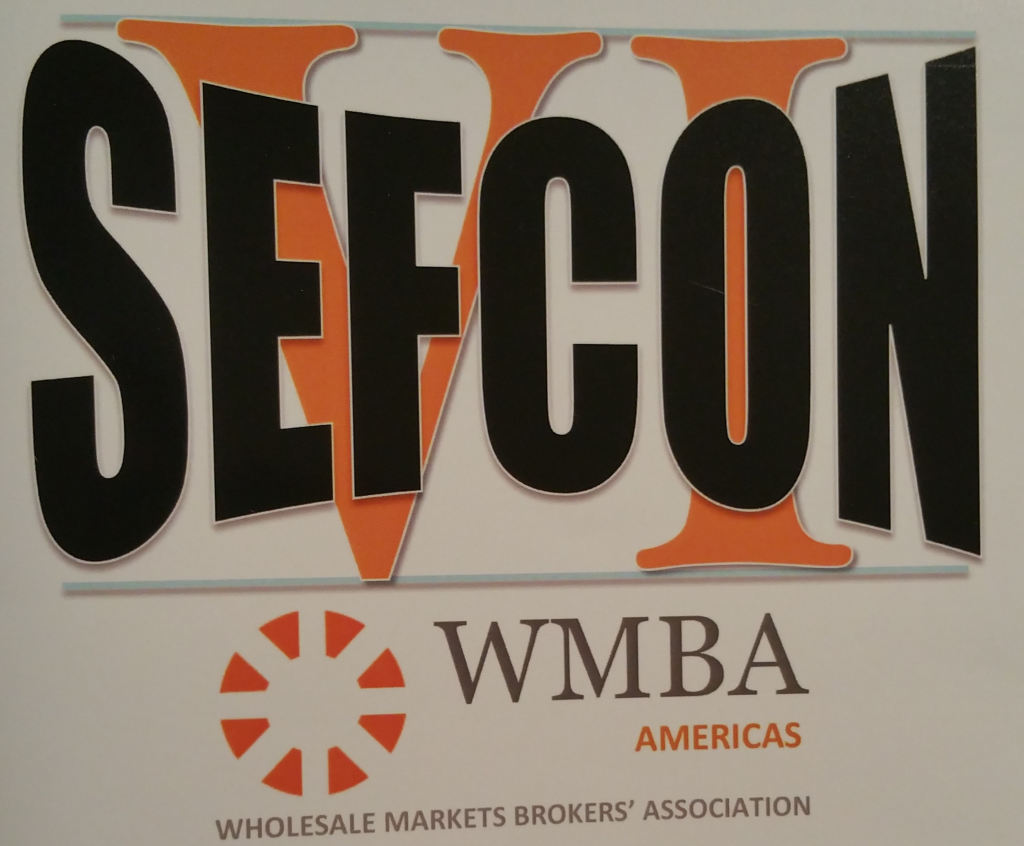 What I Learned at SEFCON VI